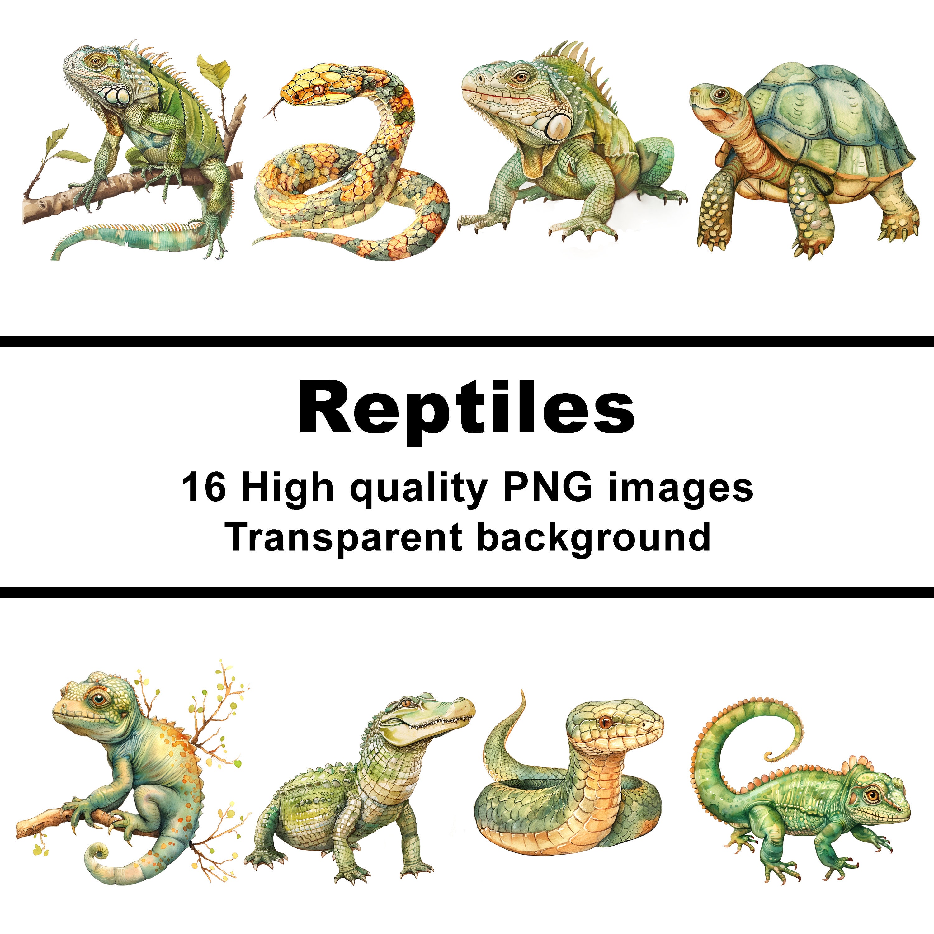 Reptiles Clipart, Reptiles Png, 16 PNG Files, Transparent Background ...