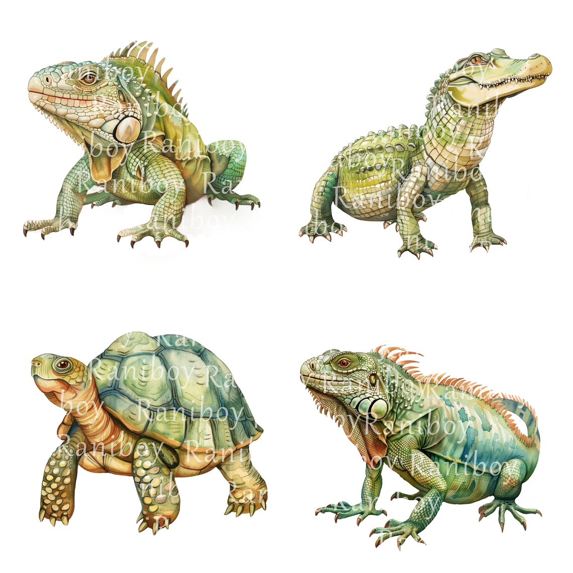 Reptiles Clipart, Reptiles Png, 16 PNG Files, Transparent Background ...