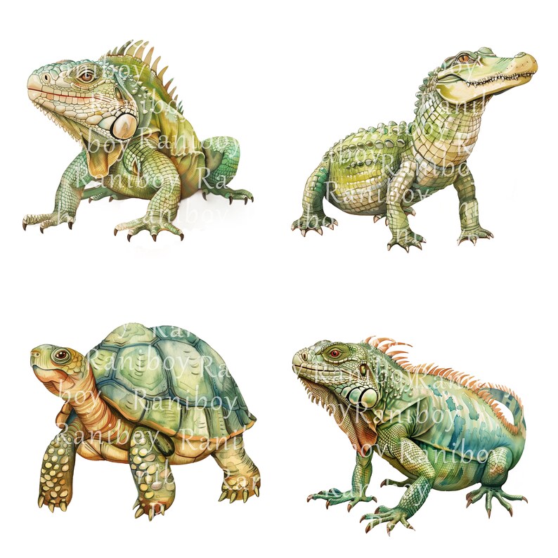 Reptiles Clipart, Reptiles Png, 16 PNG Files, Transparent Background ...