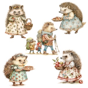 Hedgehog Clipart, Cute Hedgehog Clipart, 20 PNG Files, Transparent ...