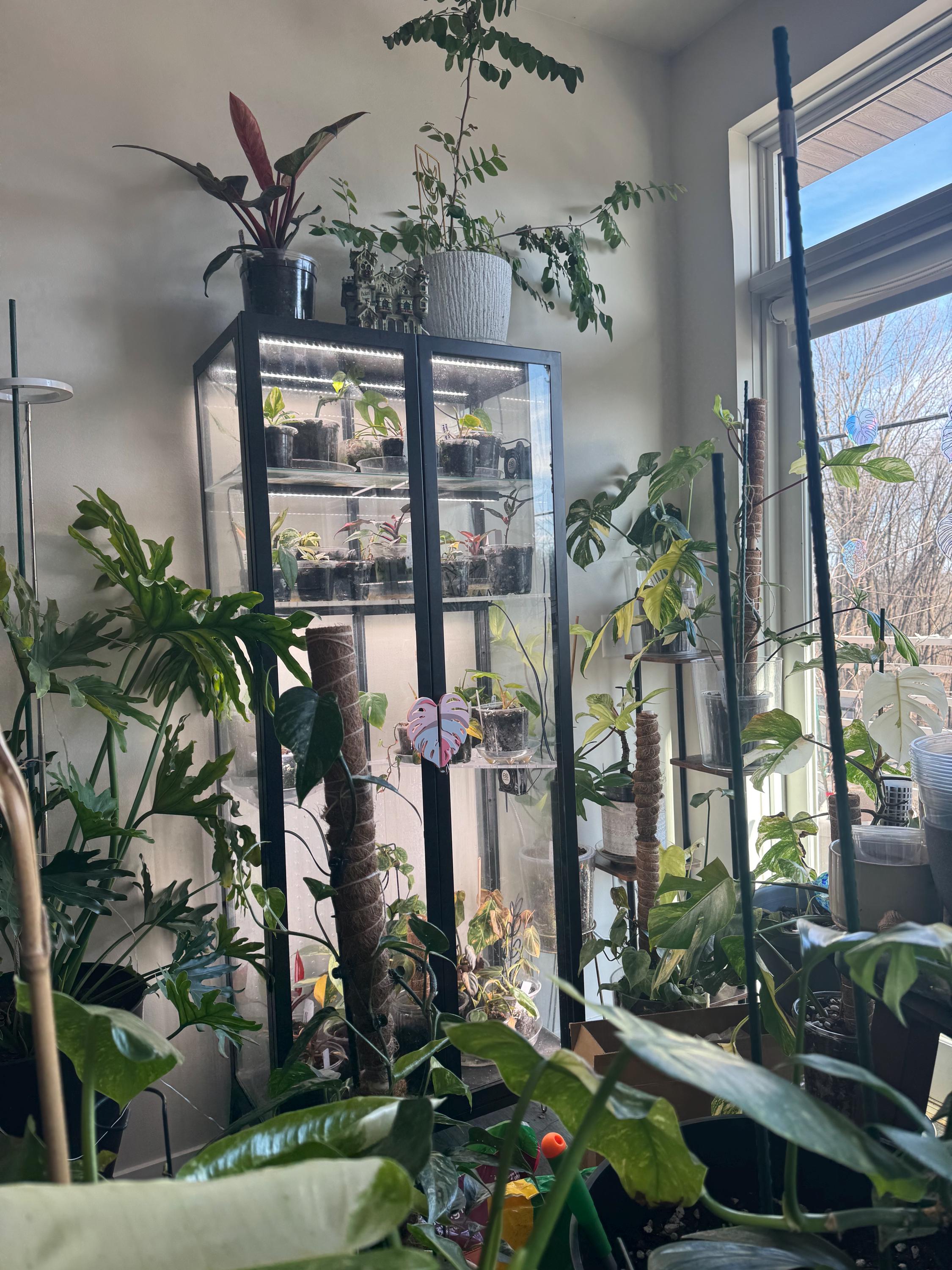 Reverted Plants - Etsy