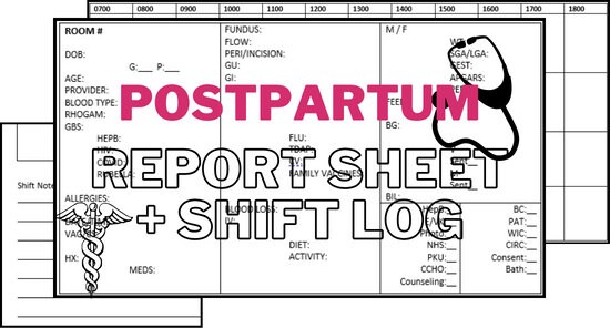 Postpartum Nurse Printable Report Sheet Shift Log - Etsy