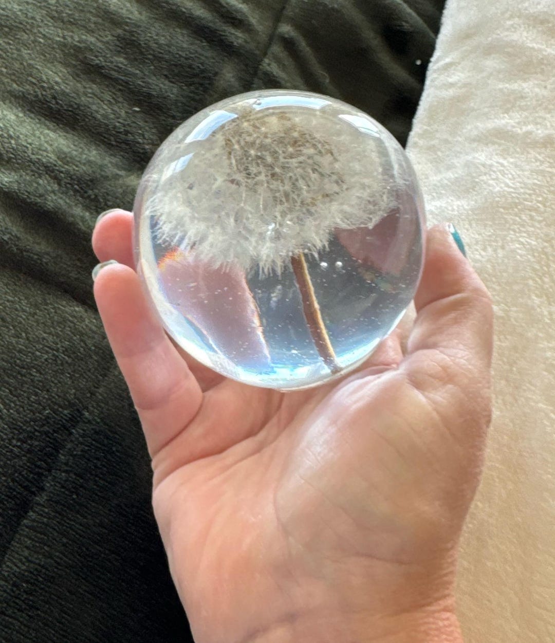 BEAUTIFUL Dandelion Puffball Suspended in Epoxy Resin - Hand and Alaska ...