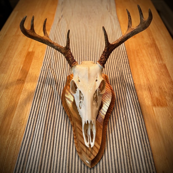 European Mount - Etsy