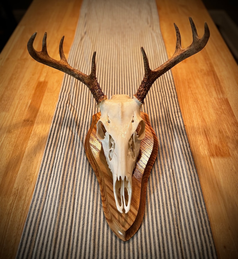 European Deer Mount Plaque - Etsy