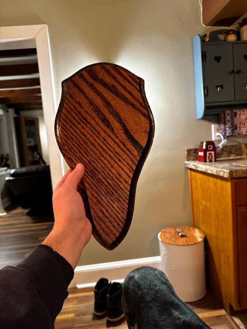 European Deer Mount Plaque - Etsy