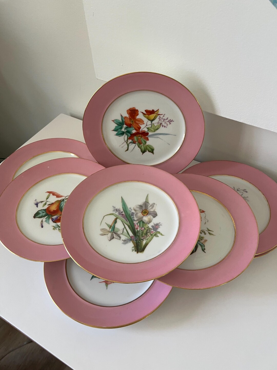 Rare Set/10 Copeland Spode Orchid Cabinet Plates Pink Gold 1890s Artist ...