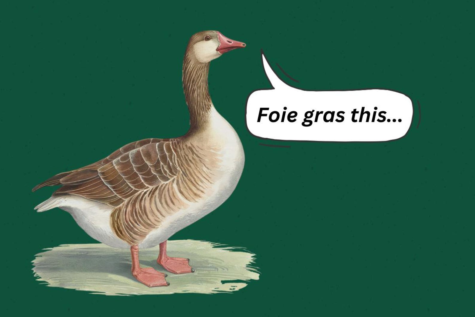 Watercolor Goose Clipart, Comic Geese Illustration, Digital Download ...