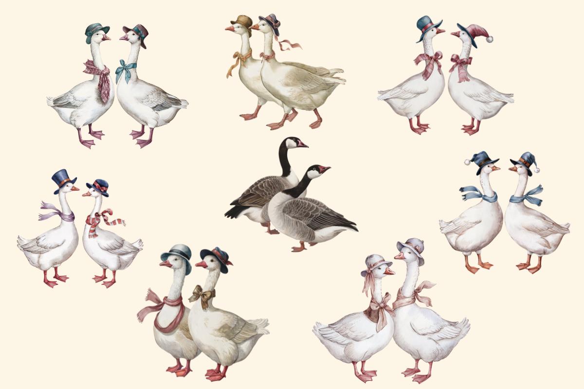 Watercolor Geese Clipart Set, Comic Goose Illustrations, Digital ...