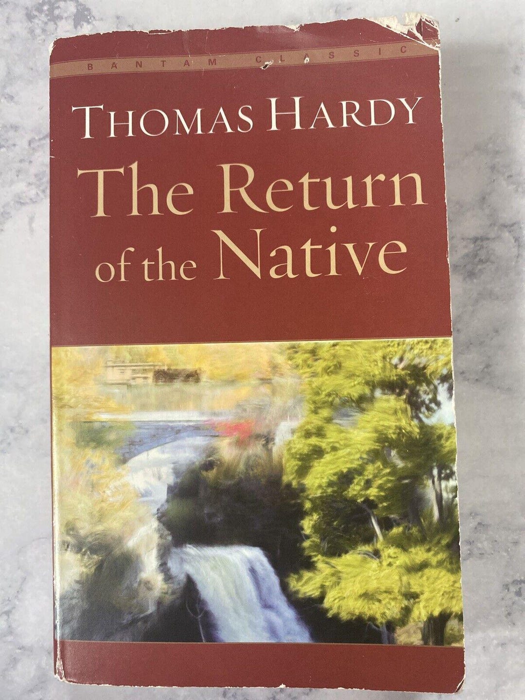 The Return of the Native by Thomas Hardy (1982, Mass Market) Paperback ...