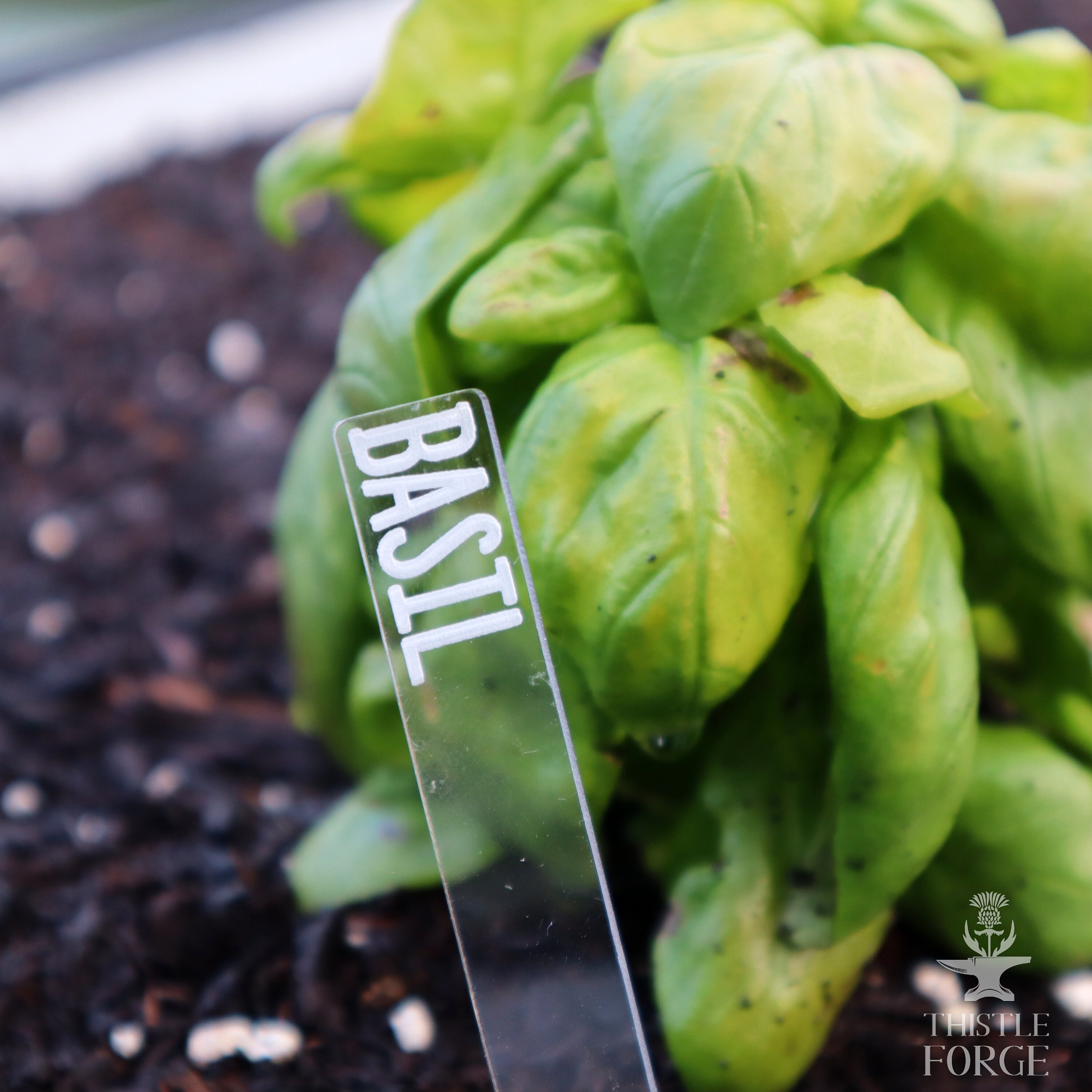 Modern Garden Plant Marker, Container Garden, Raised Bed, Customized ...