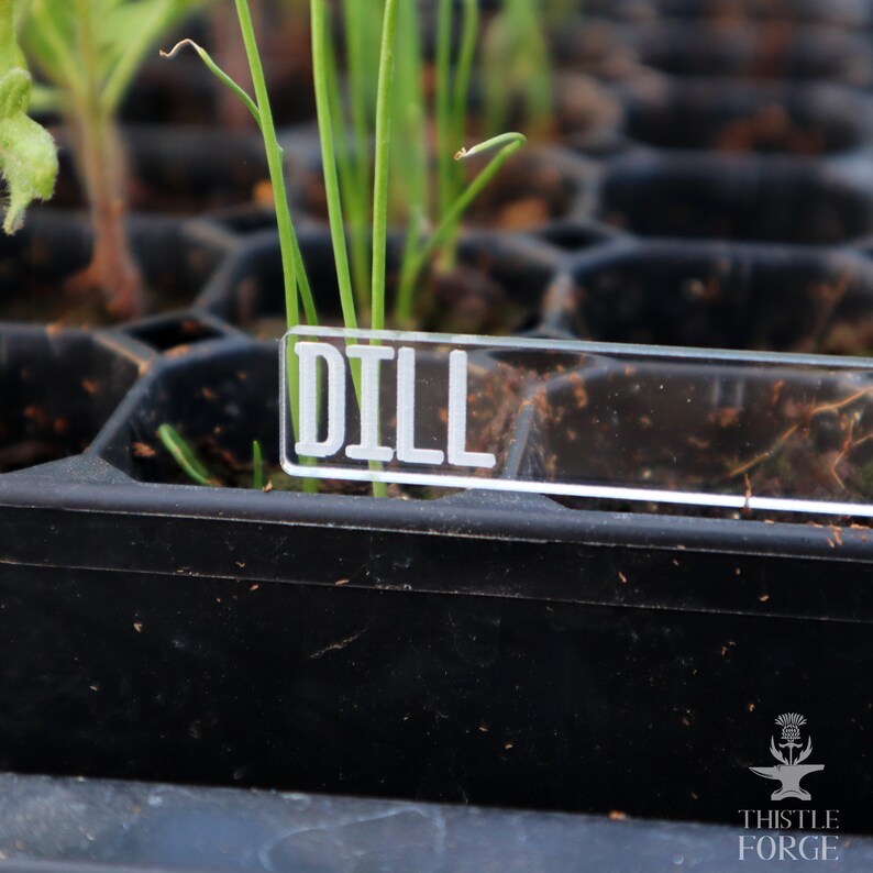 Modern Garden Plant Marker, Container Garden, Raised Bed, Customized ...