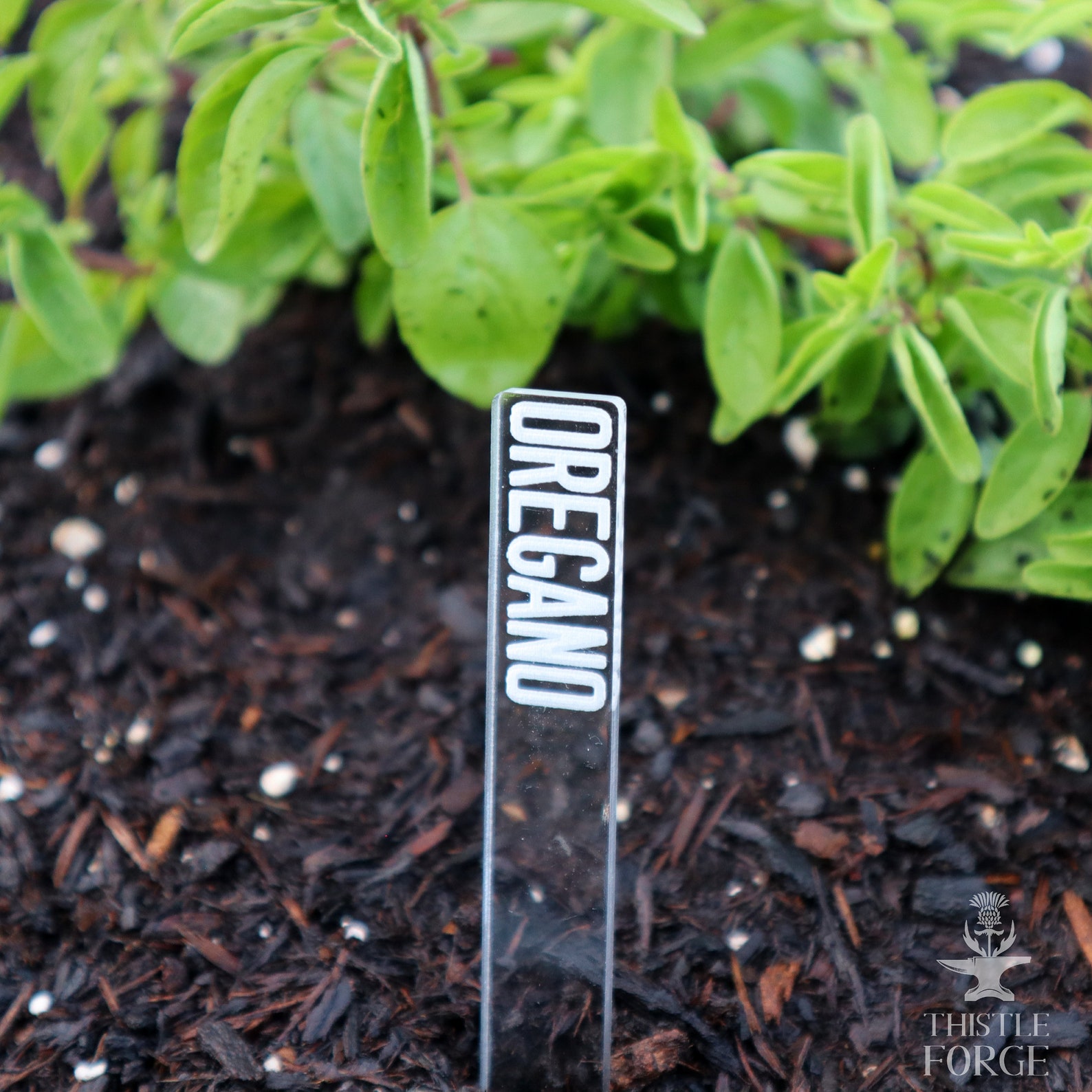 Modern Garden Plant Marker, Container Garden, Raised Bed, Customized ...