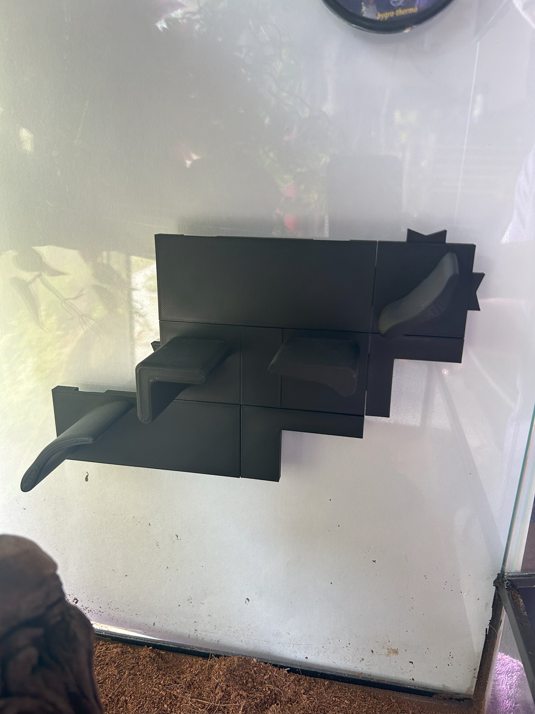 Lizard Puzzle Climbing Ledge Starter Kit - Etsy