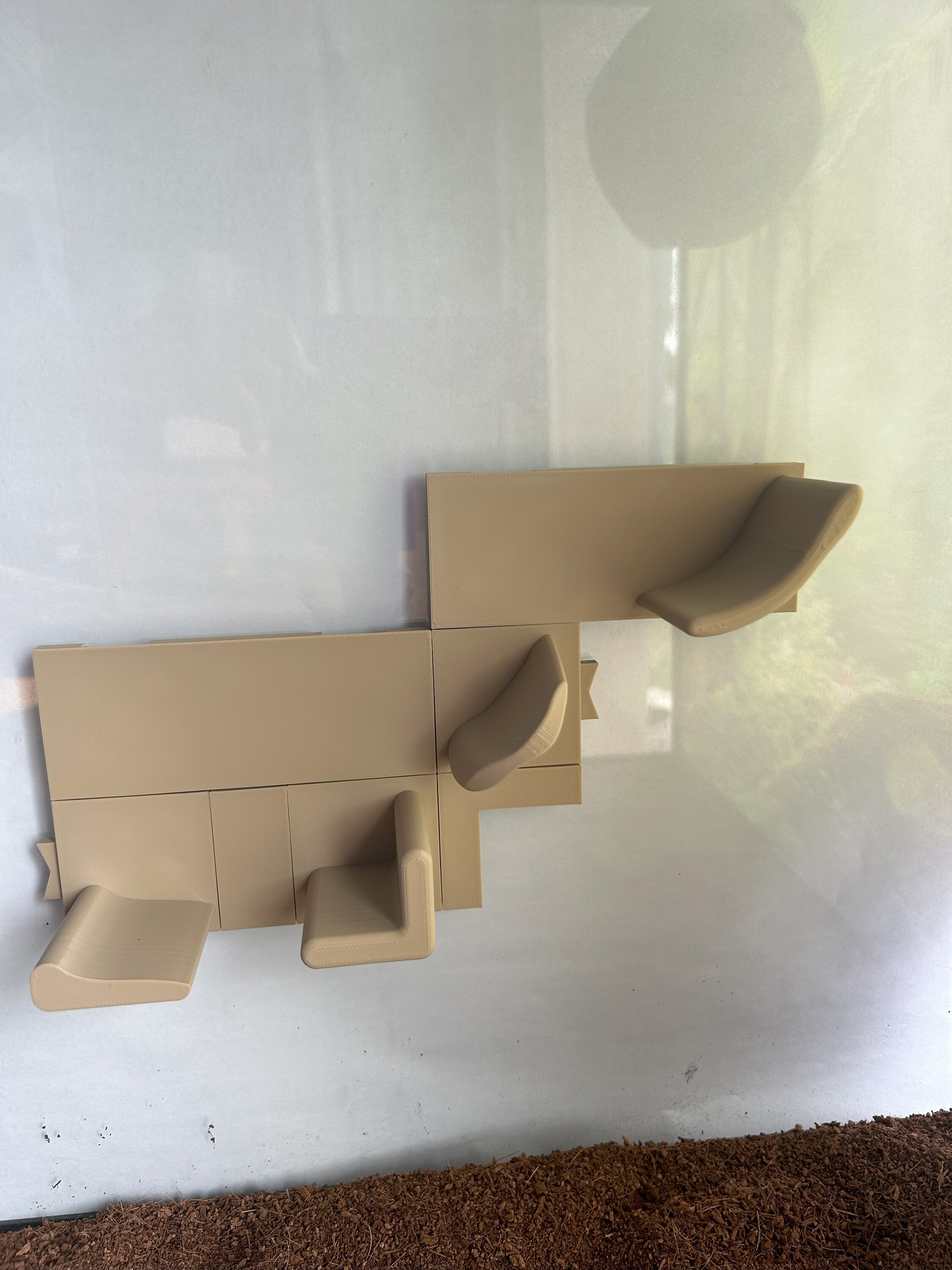 Lizard Puzzle Climbing Ledge Starter Kit - Etsy