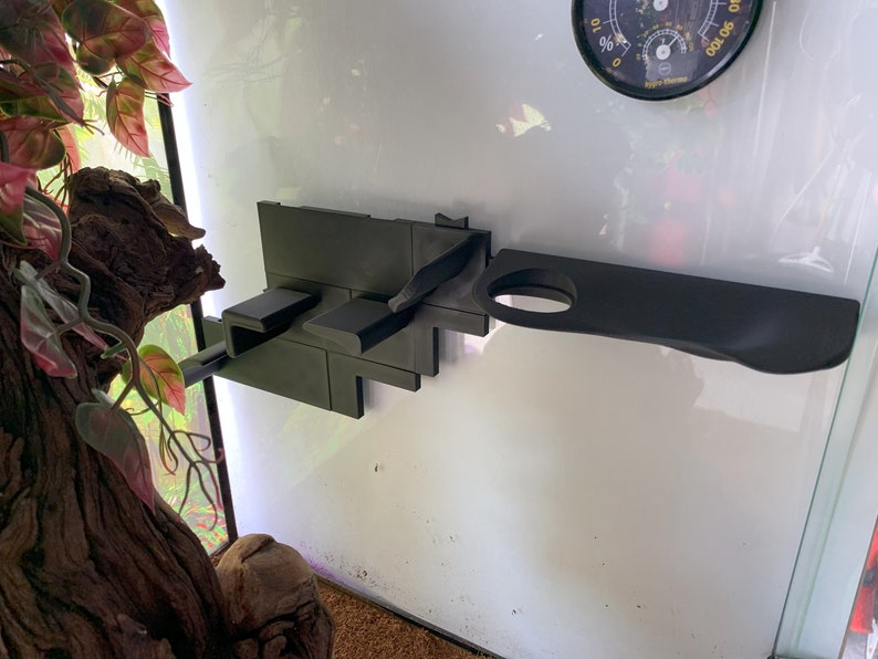 Lizard Puzzle Climbing Ledge Starter Kit - Etsy