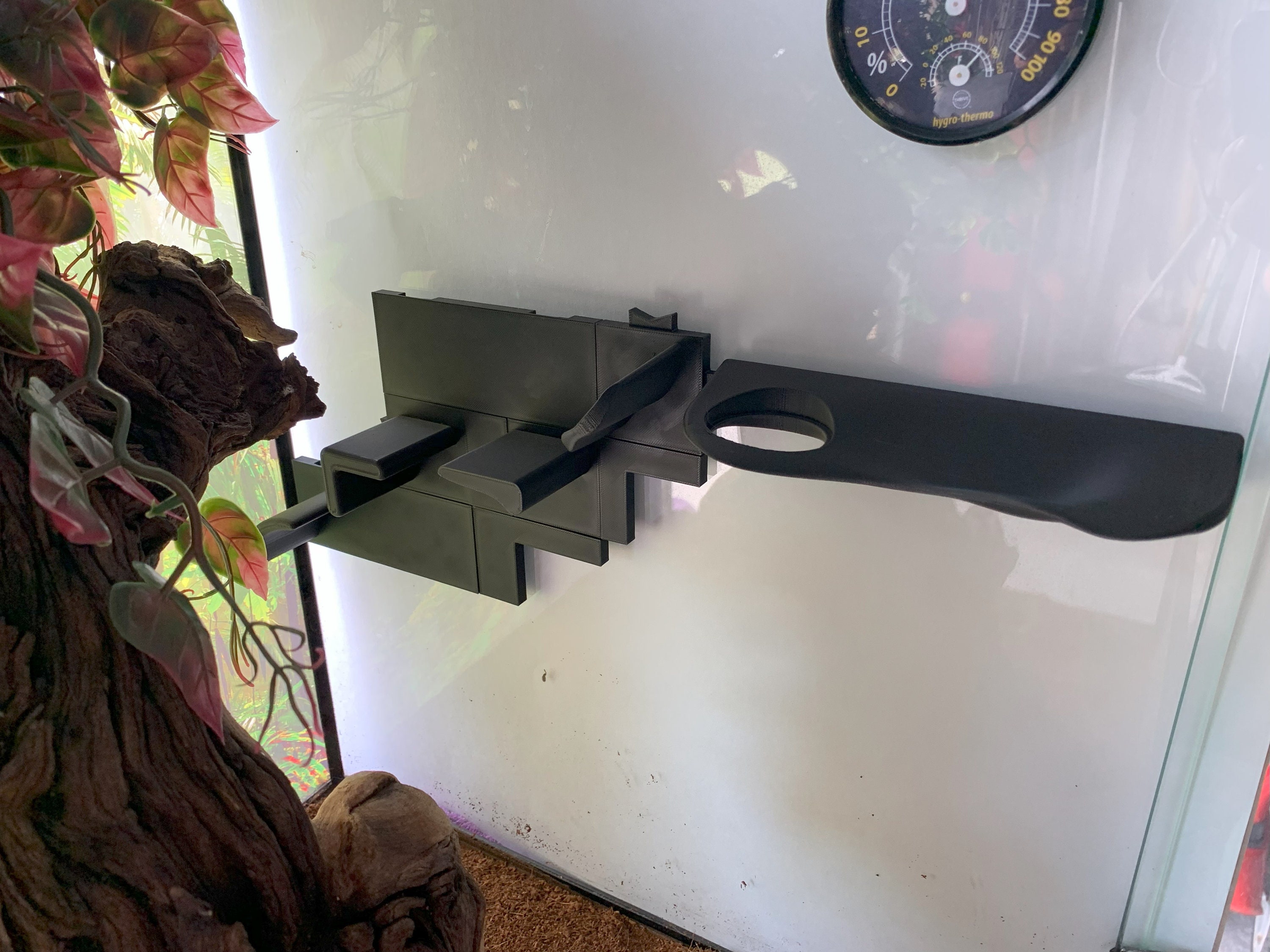 Lizard Puzzle Climbing Ledge Starter Kit - Etsy