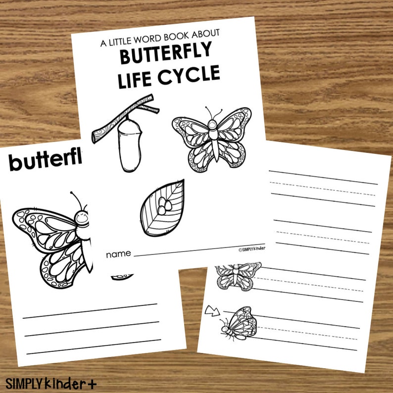 Butterfly Life Cycle Vocabulary Writing Center for Kindergarten & First ...