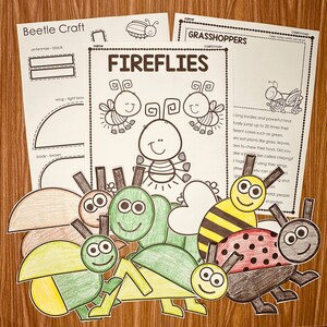 Bugs & Insect Activities, Spring Research Reports Writing Crafts - Etsy