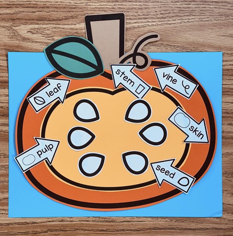 Parts of a Pumpkin Labeling Craft | Fall Science Activity for ...