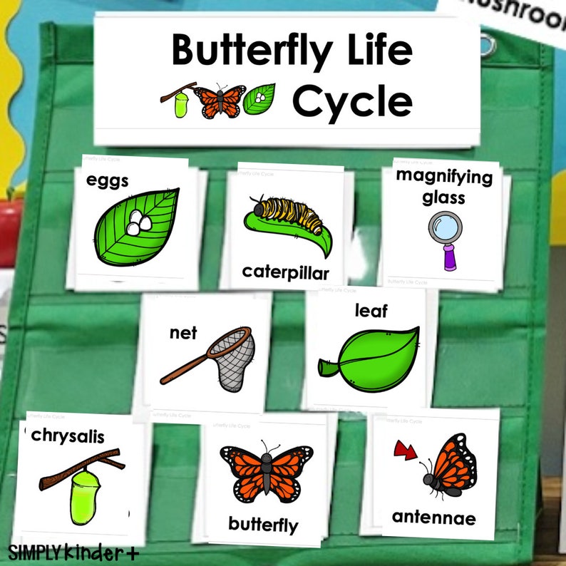 Butterfly Life Cycle Vocabulary Writing Center for Kindergarten & First ...