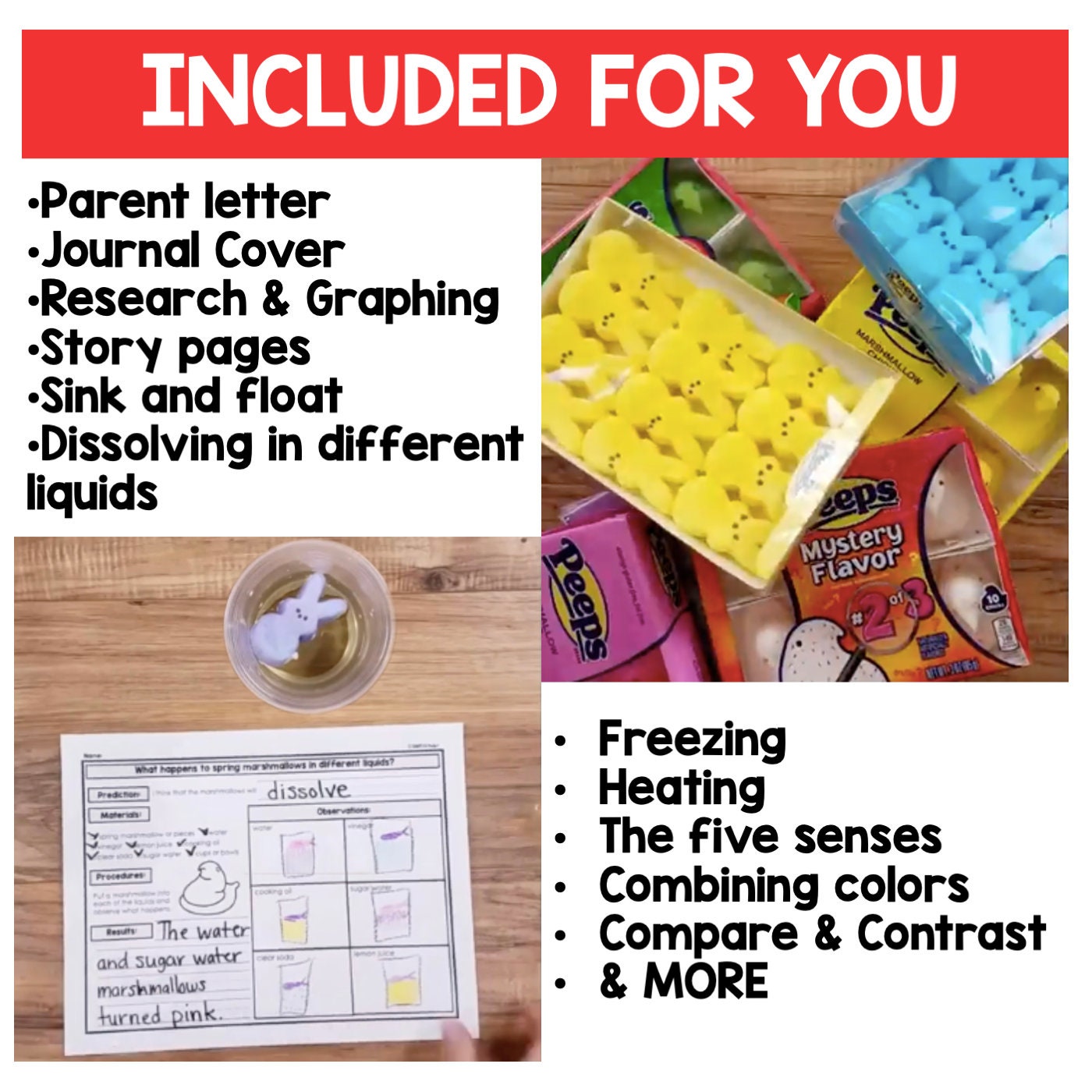 Easter Activities - Spring Marshmallow Science - Etsy