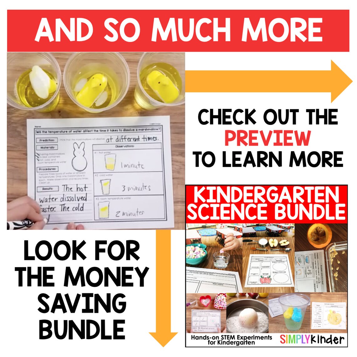 Easter Activities - Spring Marshmallow Science - Etsy