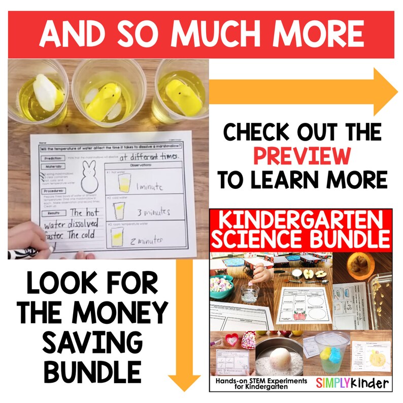 Easter Activities - Spring Marshmallow Science - Etsy