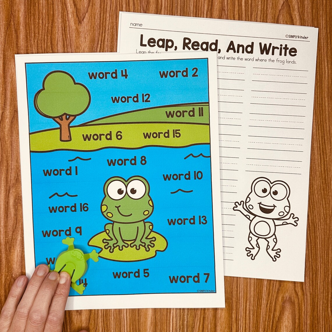 Leap Year Activities - Plastic Jumping Frog Center - Etsy