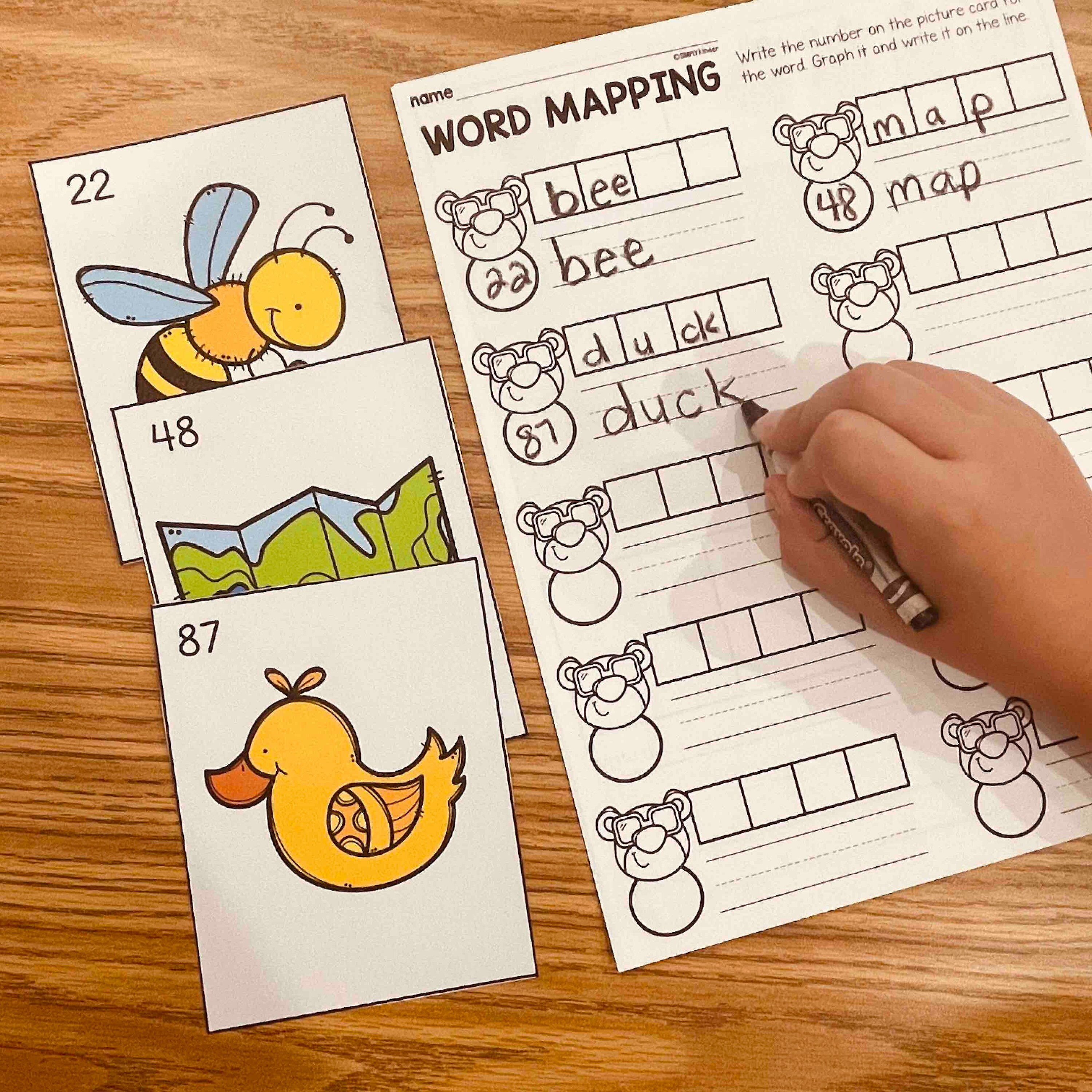 Summer Word Mapping | Orthographic Mapping | Science of Reading - Etsy