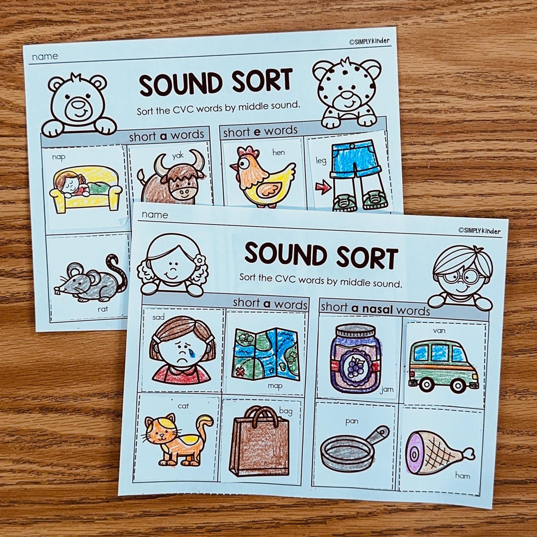 CVC Words Sound Sort Worksheets Kindergarten, Morning Work, Centers - Etsy