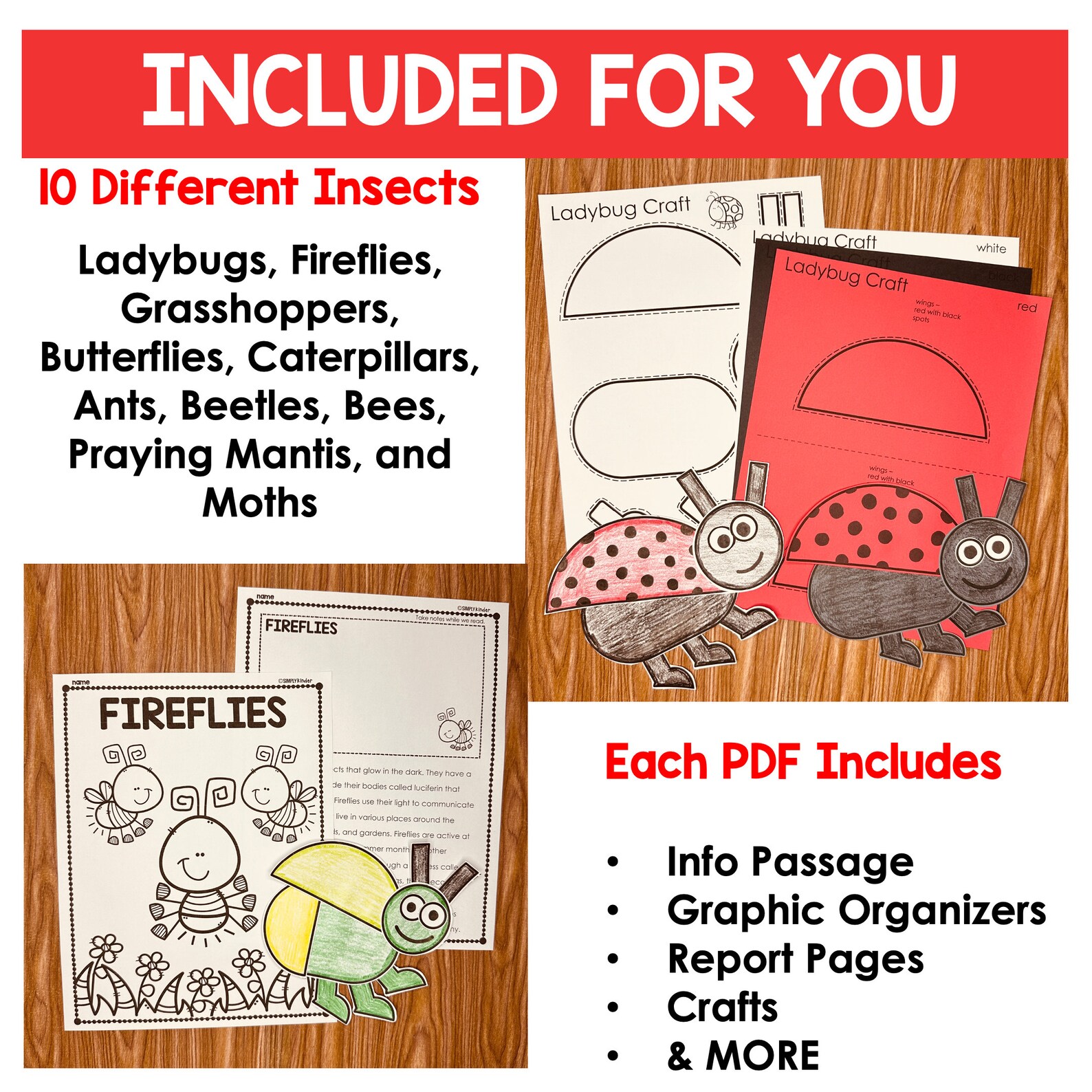 Bugs & Insect Activities, Spring Research Reports Writing Crafts - Etsy