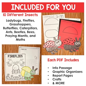 Bugs & Insect Activities, Spring Research Reports Writing Crafts - Etsy