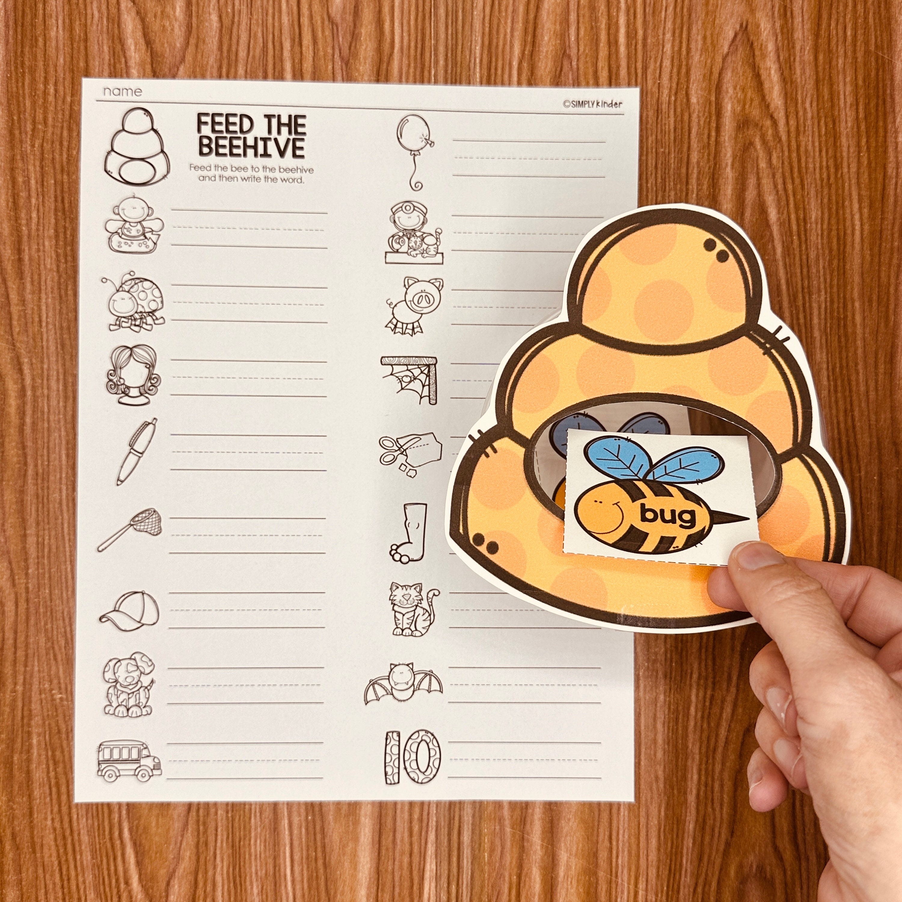 Insect and Bugs No Prep Activities for Kindergarten, Crafts, Printables ...