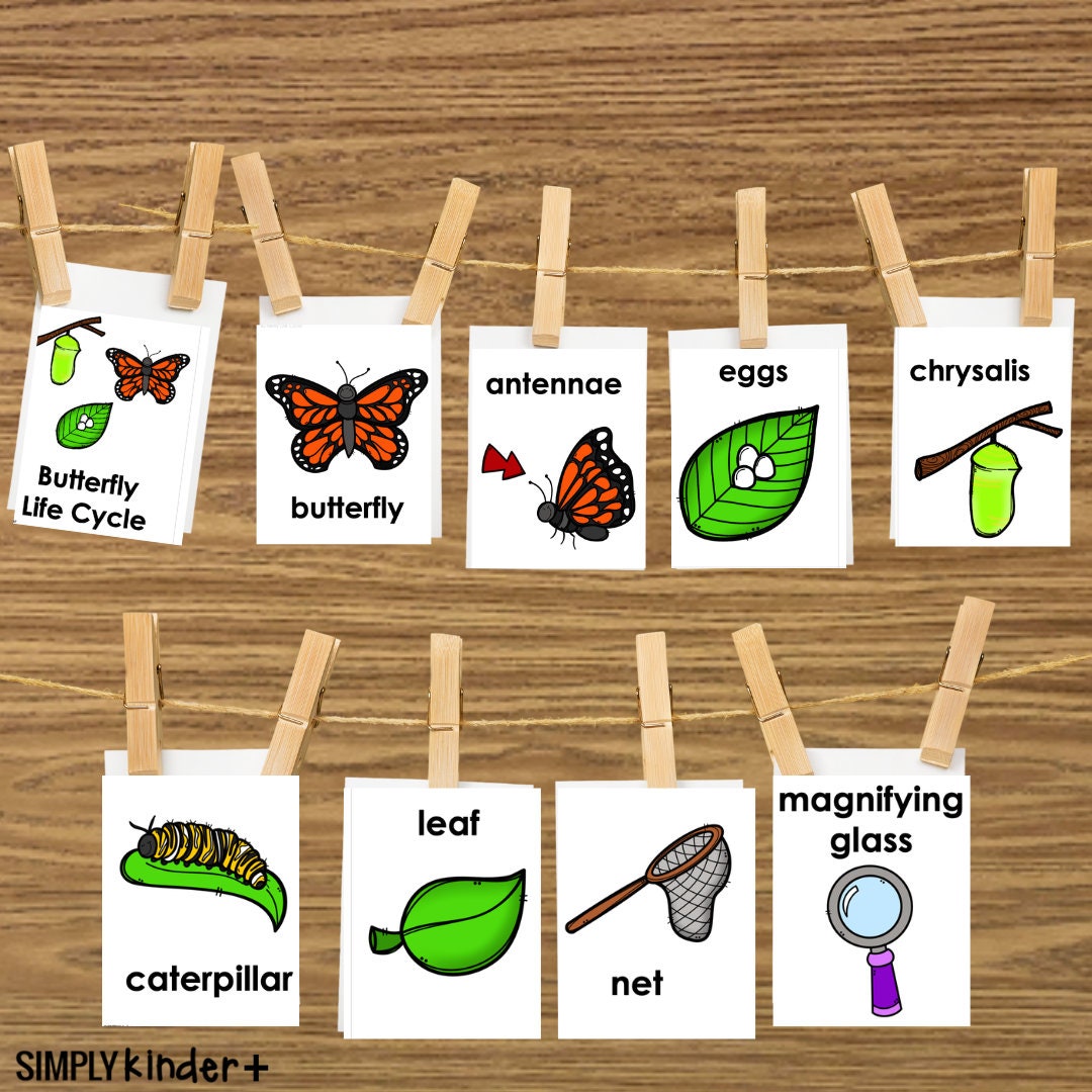Butterfly Life Cycle Vocabulary Writing Center for Kindergarten & First ...
