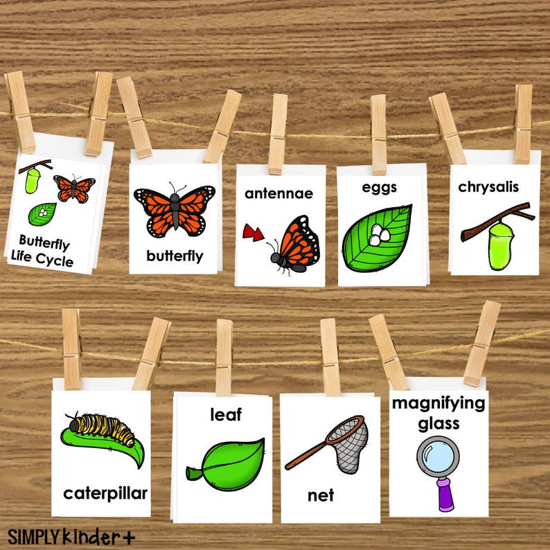 Butterfly Life Cycle Vocabulary Writing Center for Kindergarten & First ...