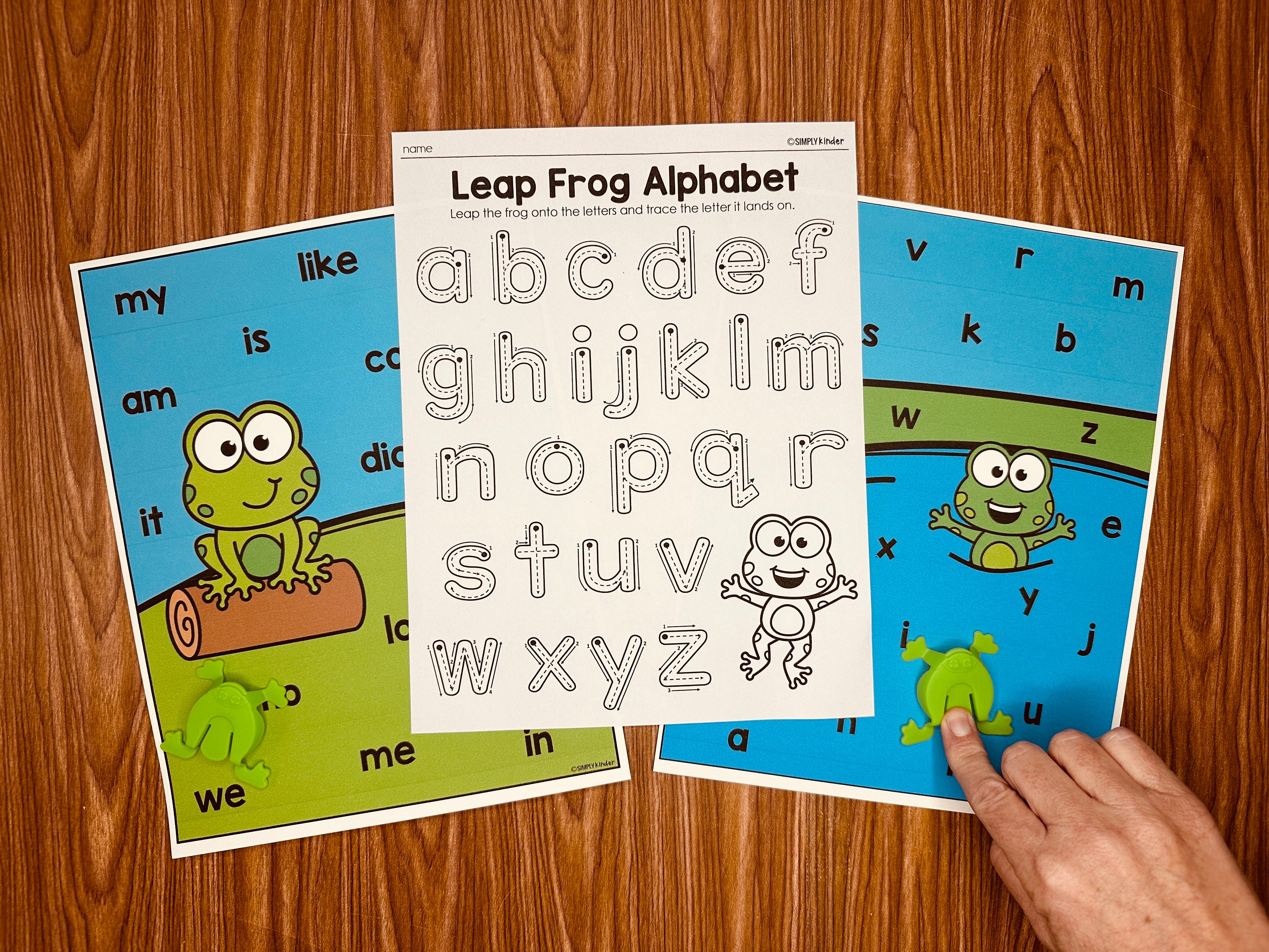 Leap Year Activities - Plastic Jumping Frog Center - Etsy