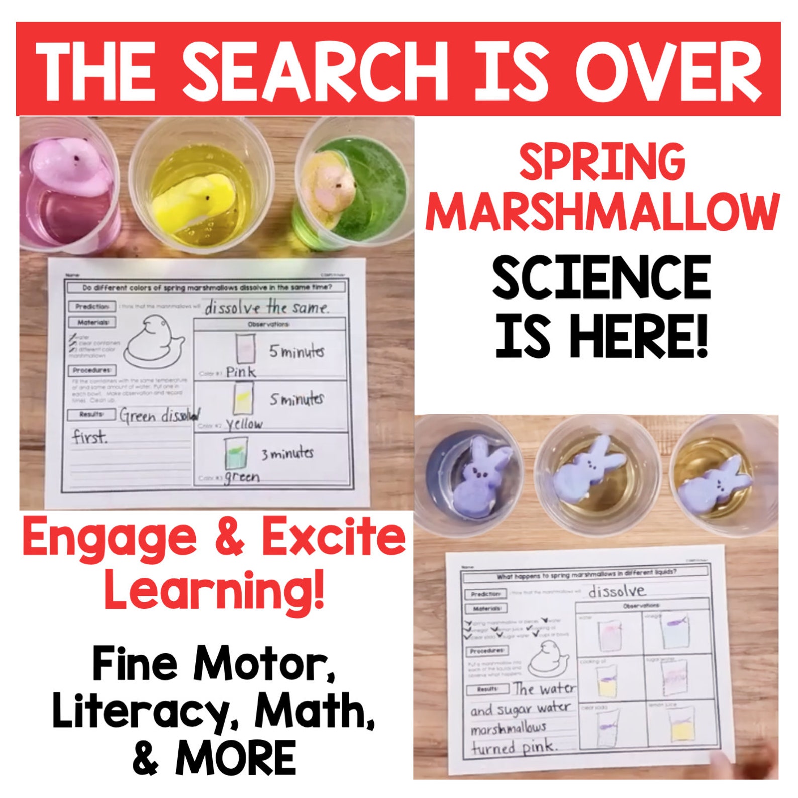 Easter Activities - Spring Marshmallow Science - Etsy