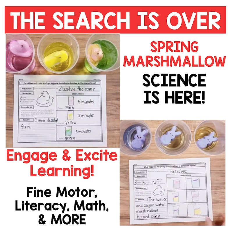 Easter Activities - Spring Marshmallow Science - Etsy