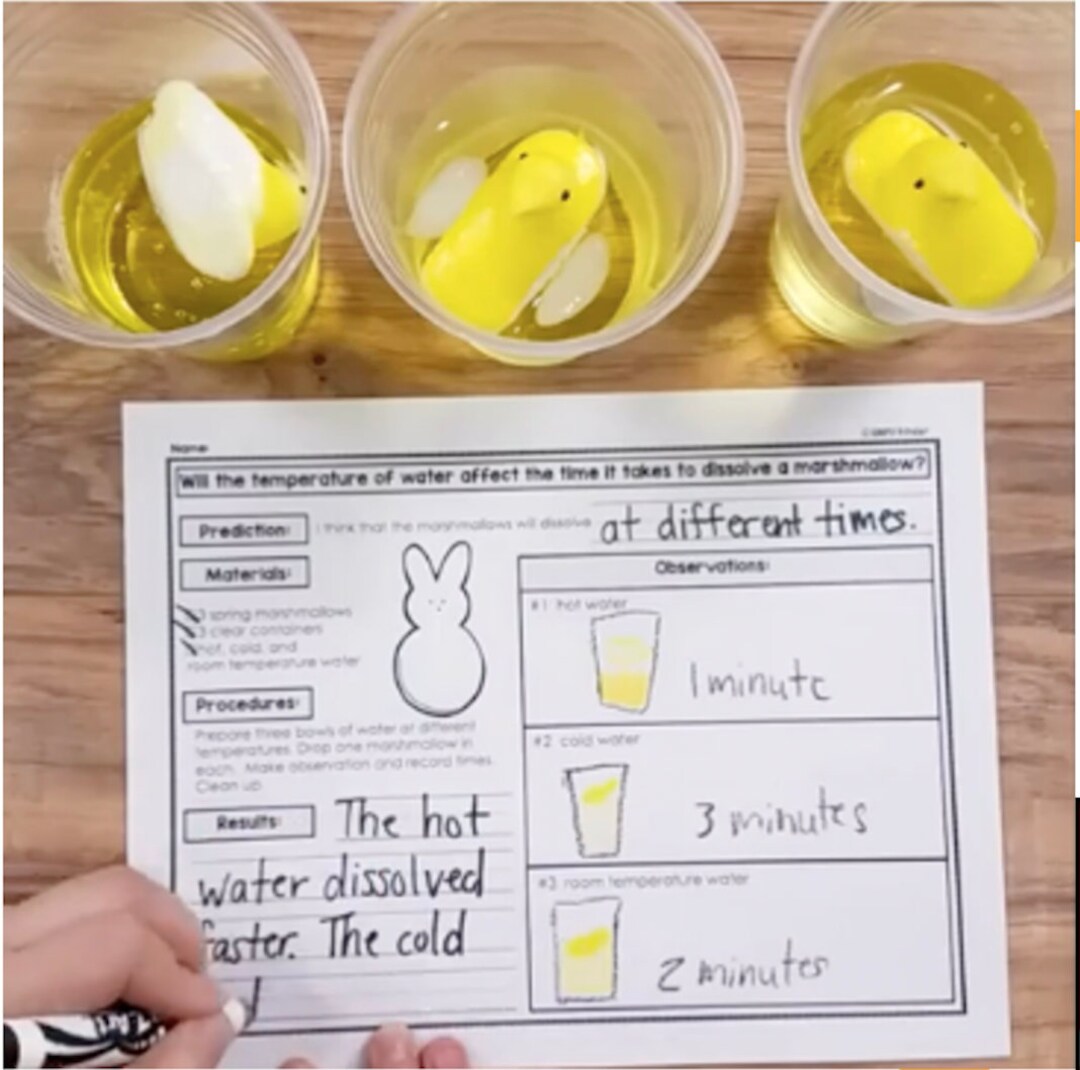 Easter Activities - Spring Marshmallow Science - Etsy