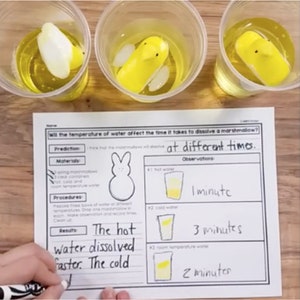 Easter Activities - Spring Marshmallow Science - Etsy