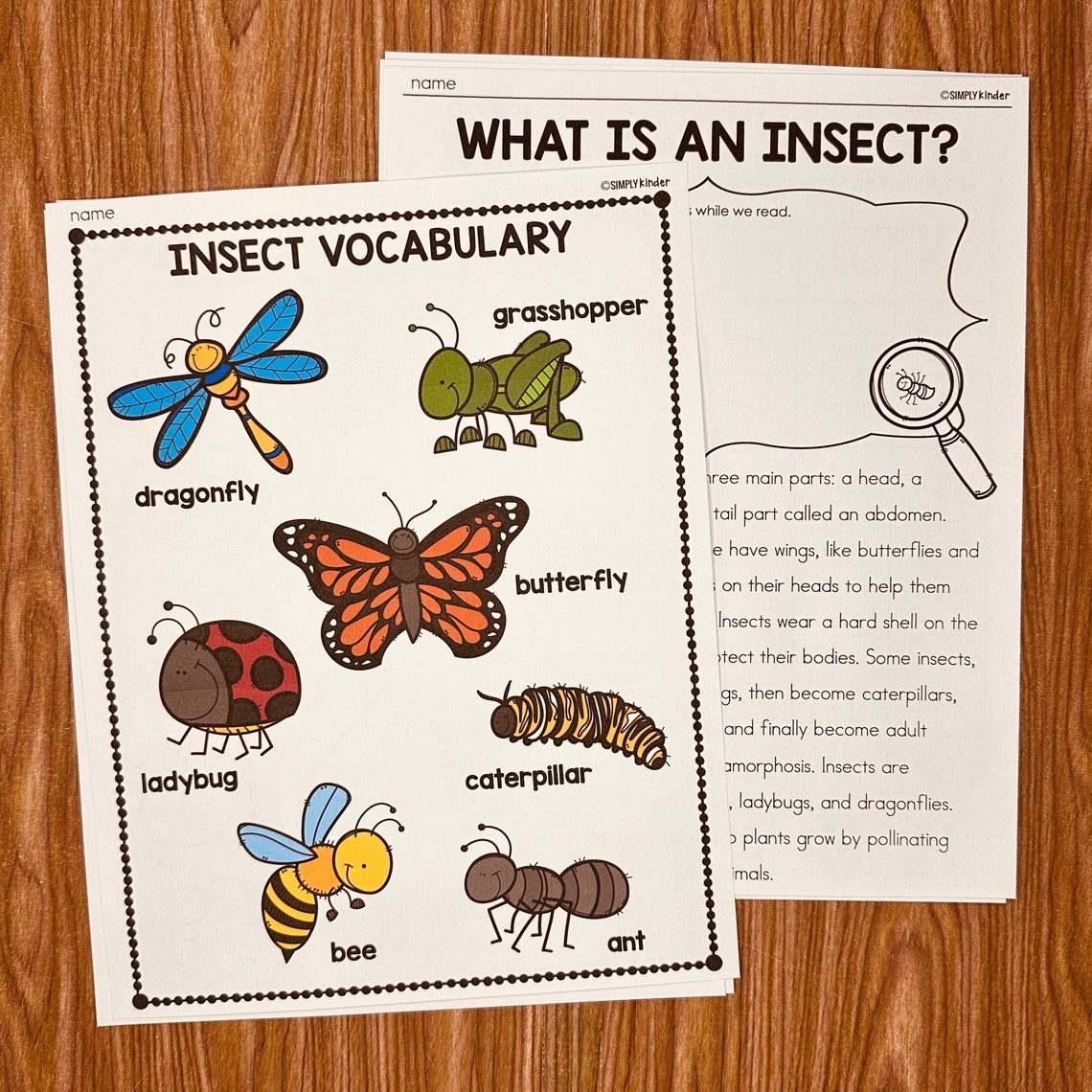 Insect and Bugs No Prep Activities for Kindergarten, Crafts, Printables ...