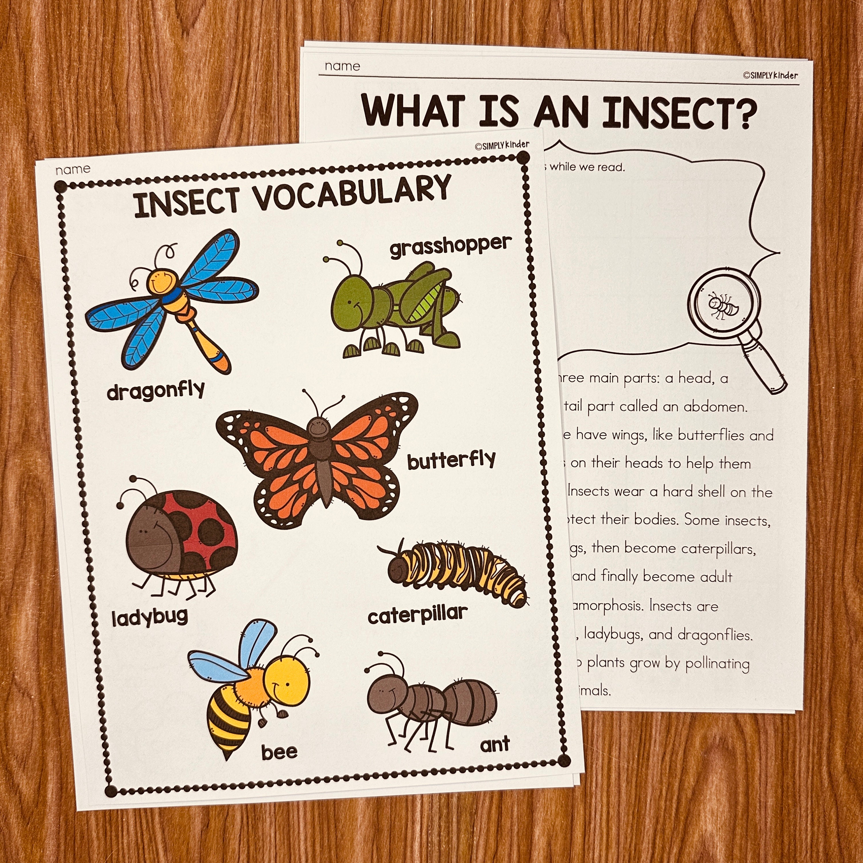 Insect and Bugs No Prep Activities for Kindergarten, Crafts, Printables ...