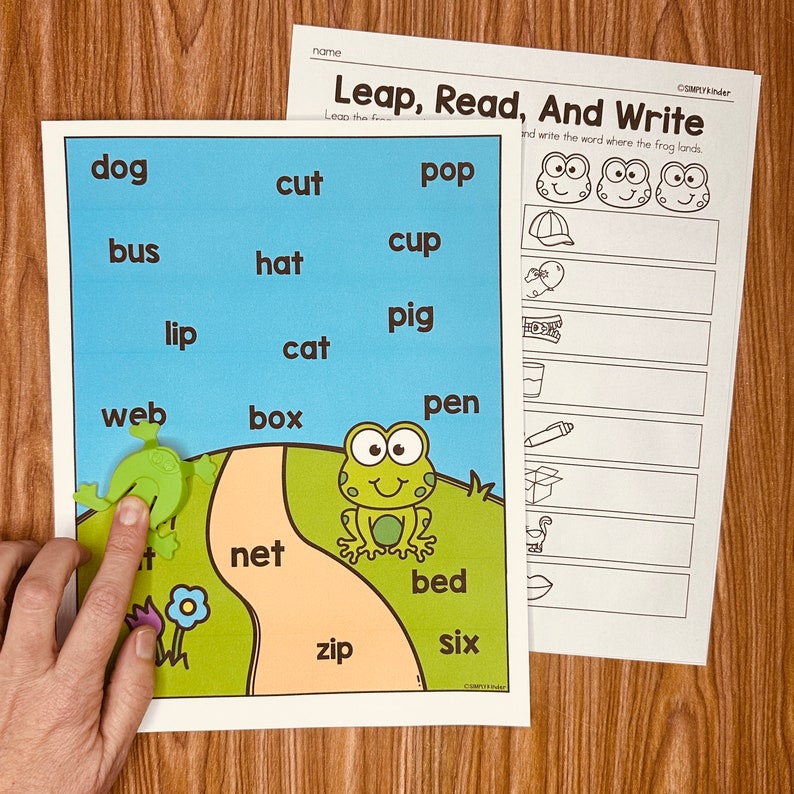 Leap Year Activities - Plastic Jumping Frog Center - Etsy