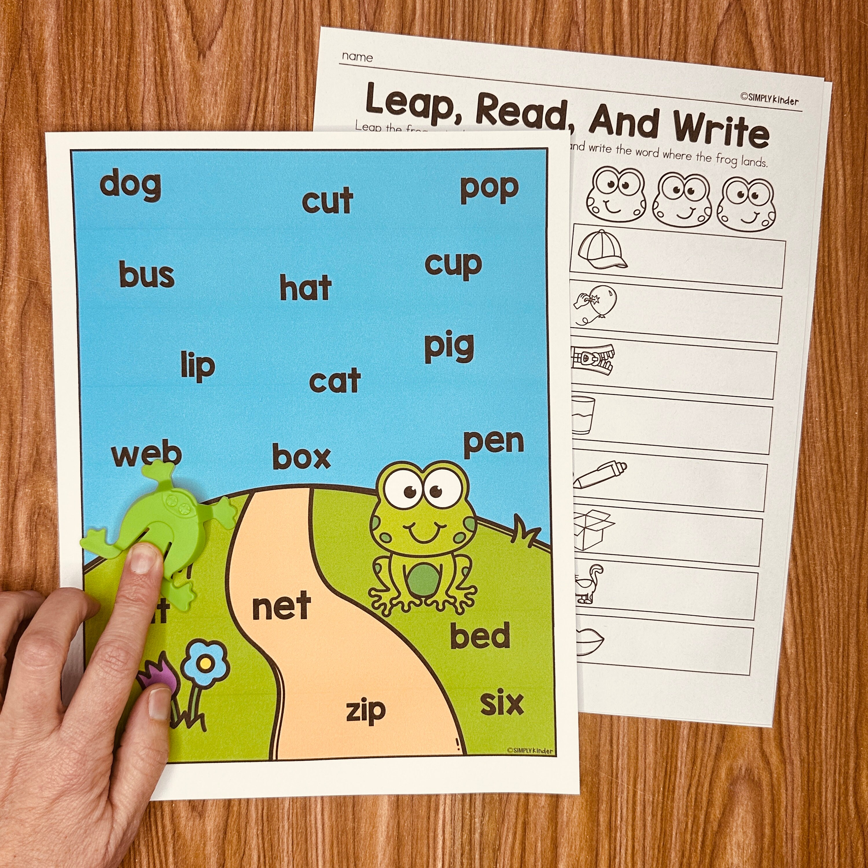 Leap Year Activities - Plastic Jumping Frog Center - Etsy