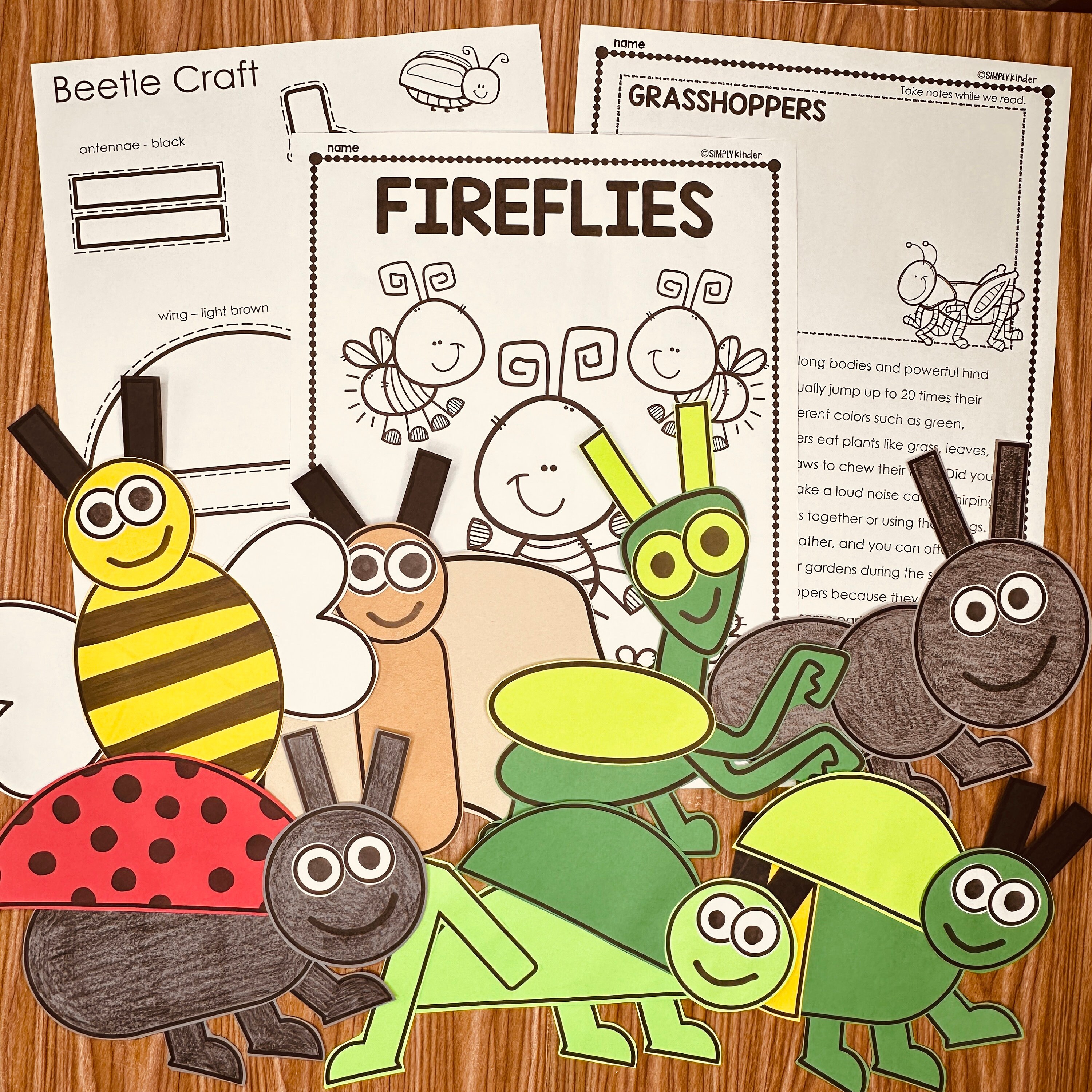 Bugs & Insect Activities, Spring Research Reports Writing Crafts - Etsy