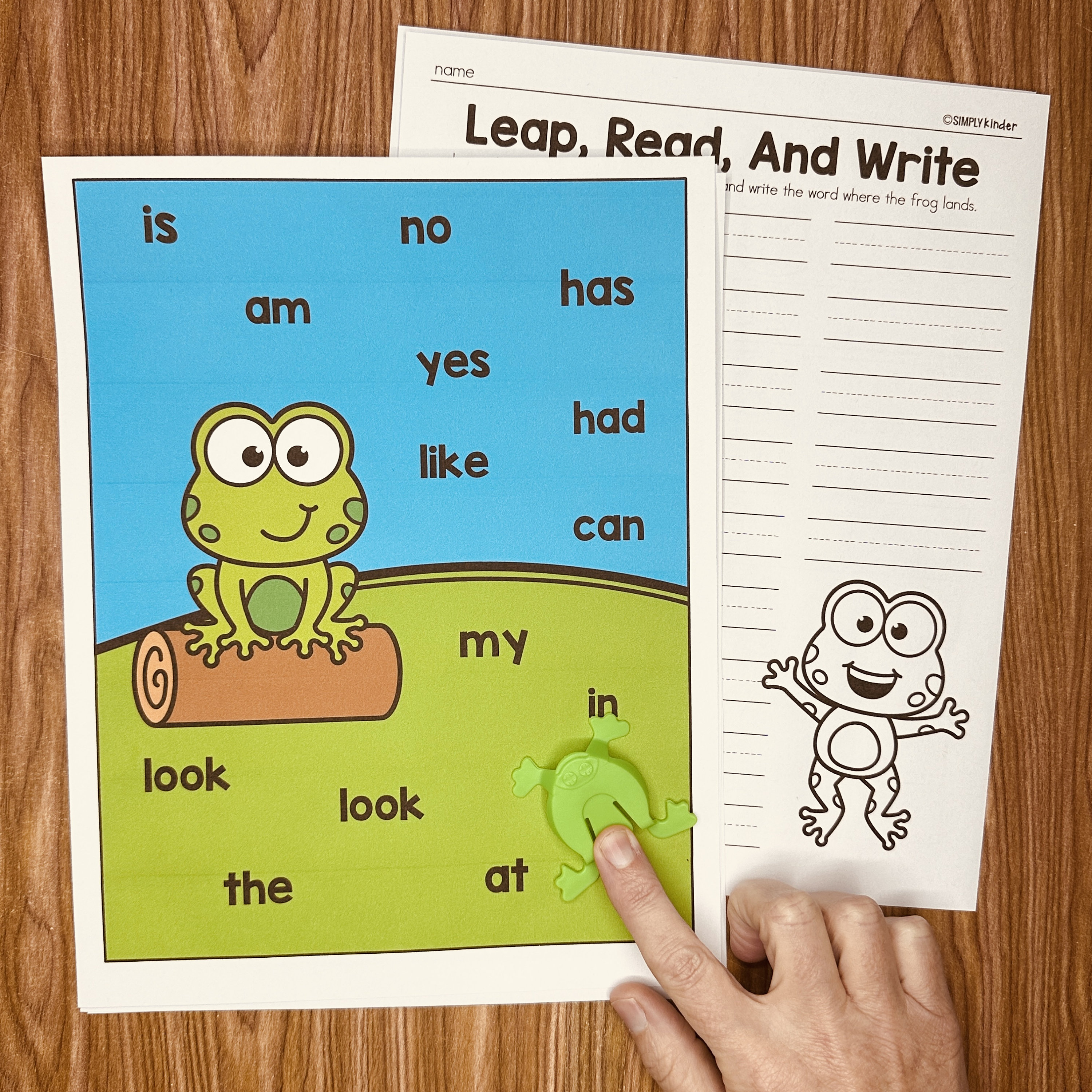 Leap Year Activities - Plastic Jumping Frog Center - Etsy