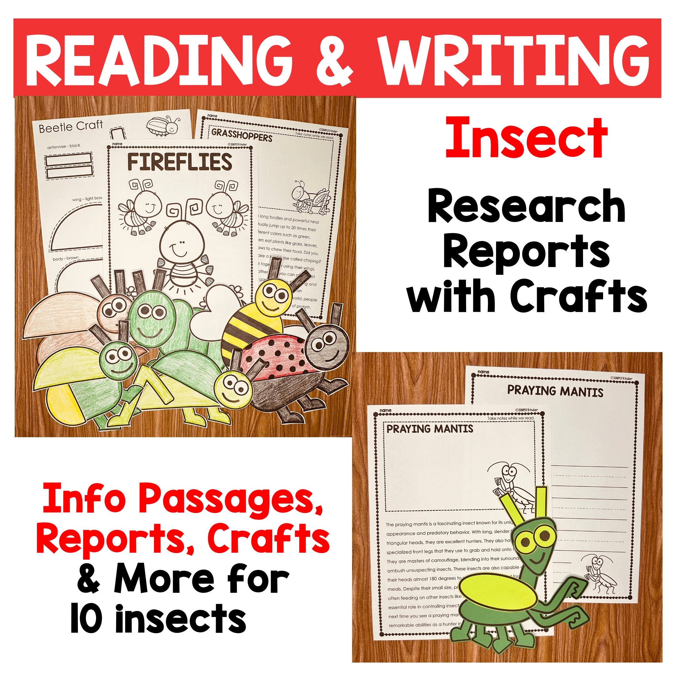 Bugs & Insect Activities, Spring Research Reports Writing Crafts - Etsy