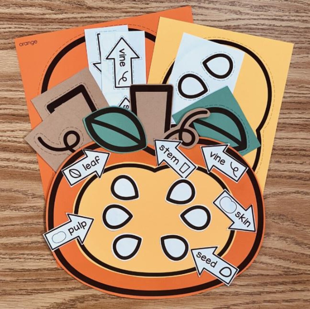 Parts of a Pumpkin Labeling Craft | Fall Science Activity for Kindergarten & 1st - Etsy