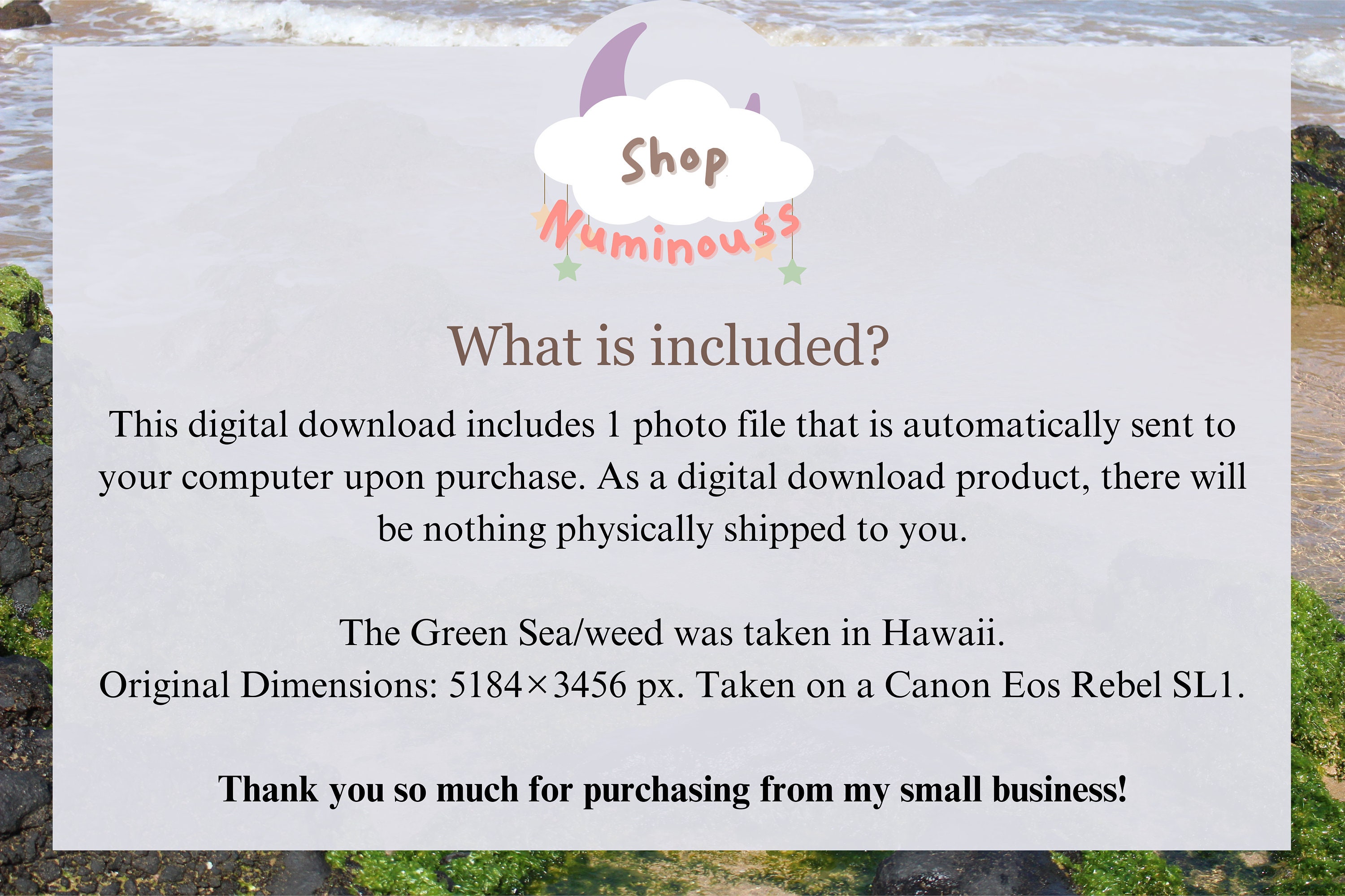 The Green Sea/weed in Hawaii | Digital Download Photography | Ready to ...